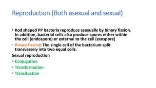 R. AVANTHIKA.pat.pptx