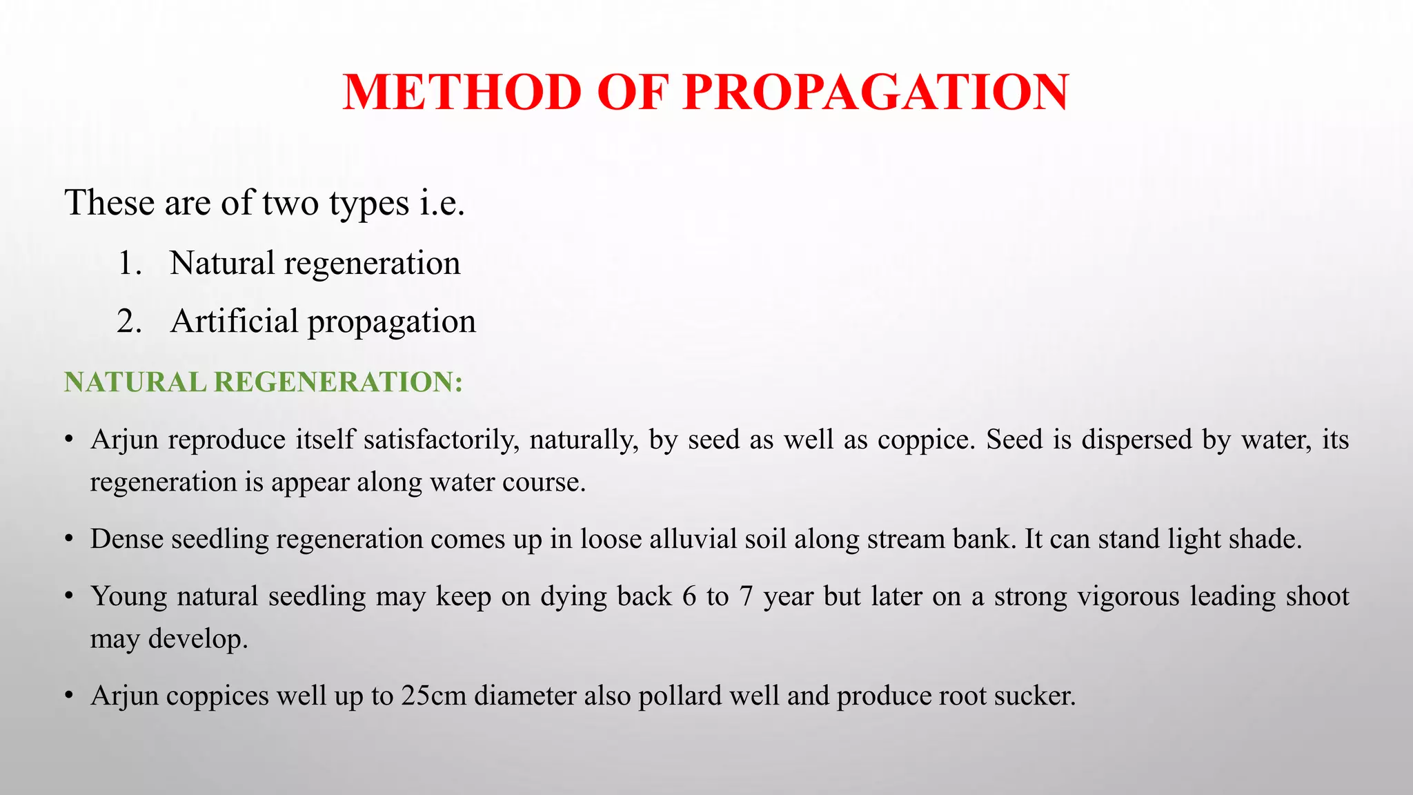 General information on Arjun tree | PPTX