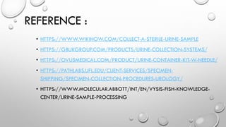 CLT - Urine Sample collection and processing | PDF