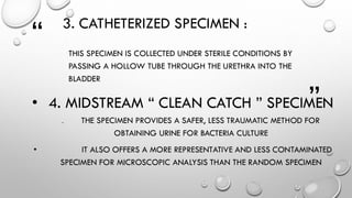 CLT - Urine Sample collection and processing | PDF