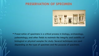 Clinical Laboratory Technology- Handling, Preservation, Transport of ...