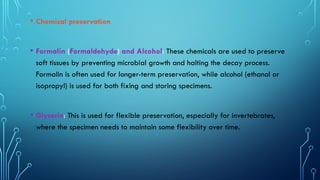 Clinical Laboratory Technology- Handling, Preservation, Transport of ...