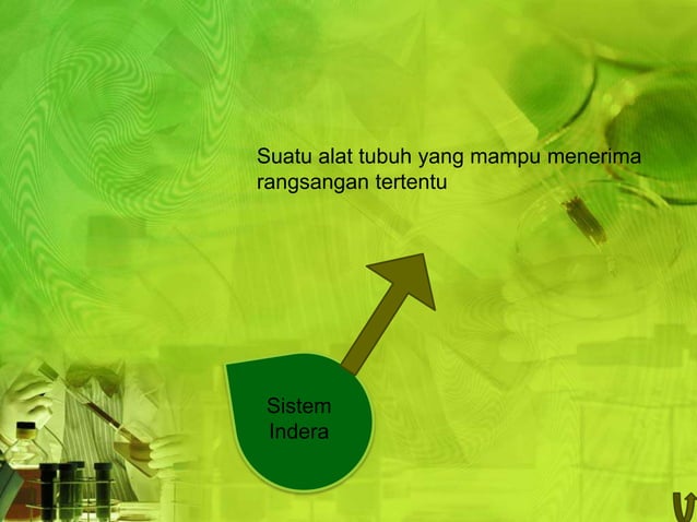 r-biologi-sistem-koordinasi-ppt1 (1).pptx