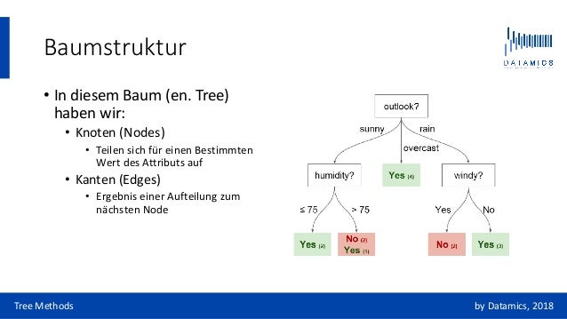 R für Data Science und Machine Learning