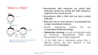 Basic steps to Create Recombinant DNA - r DNA methodologyTechnology | PPTX