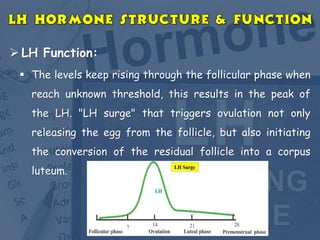 r-LH in assisted reproduction | PDF