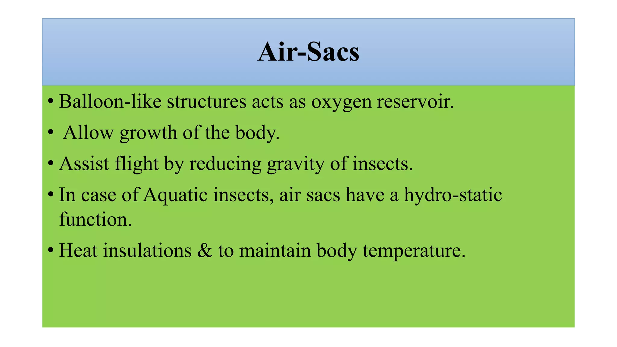Insect respiratory system | PPTX
