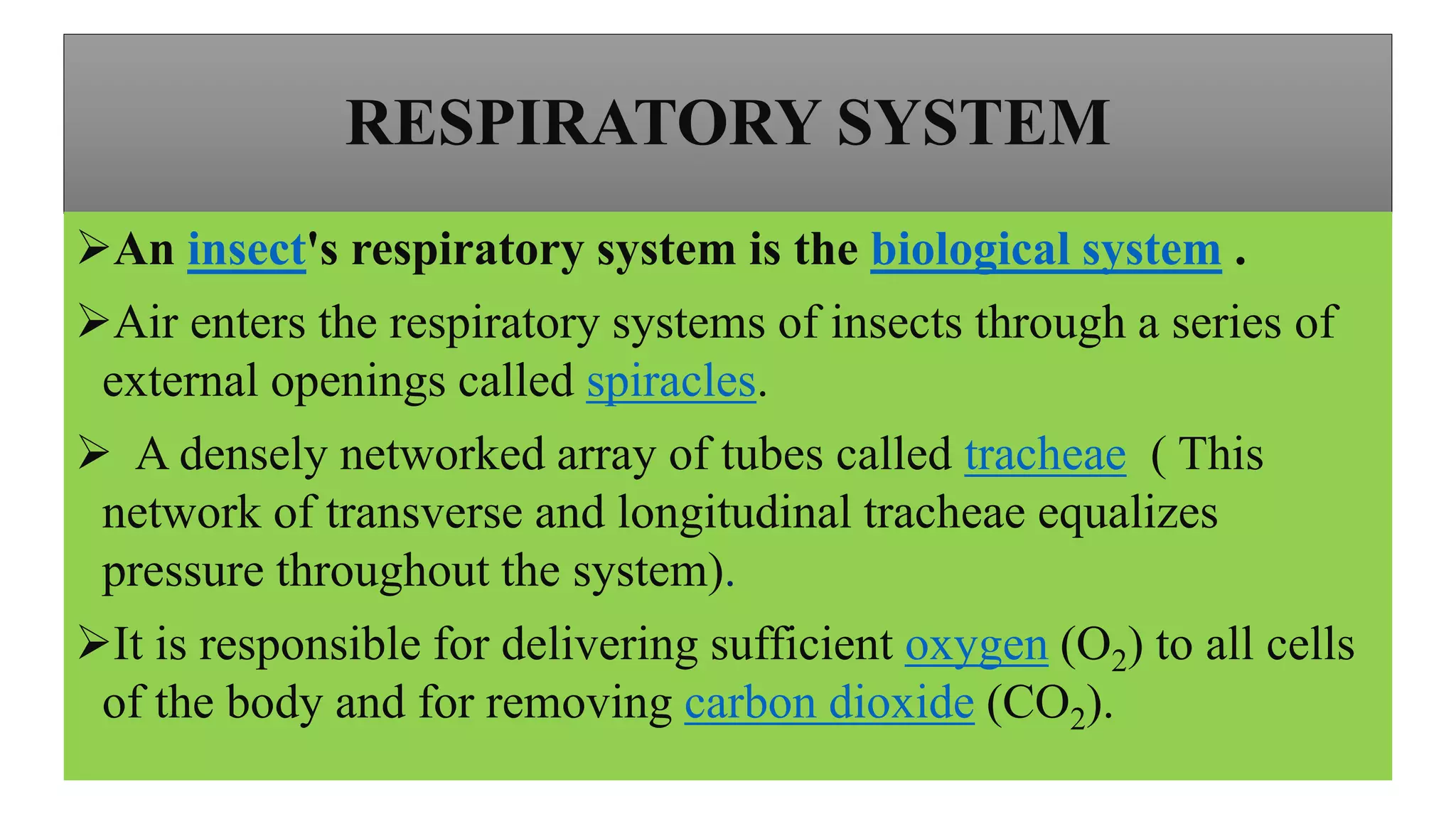 Insect respiratory system | PPTX
