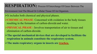 Insect respiratory system | PPTX