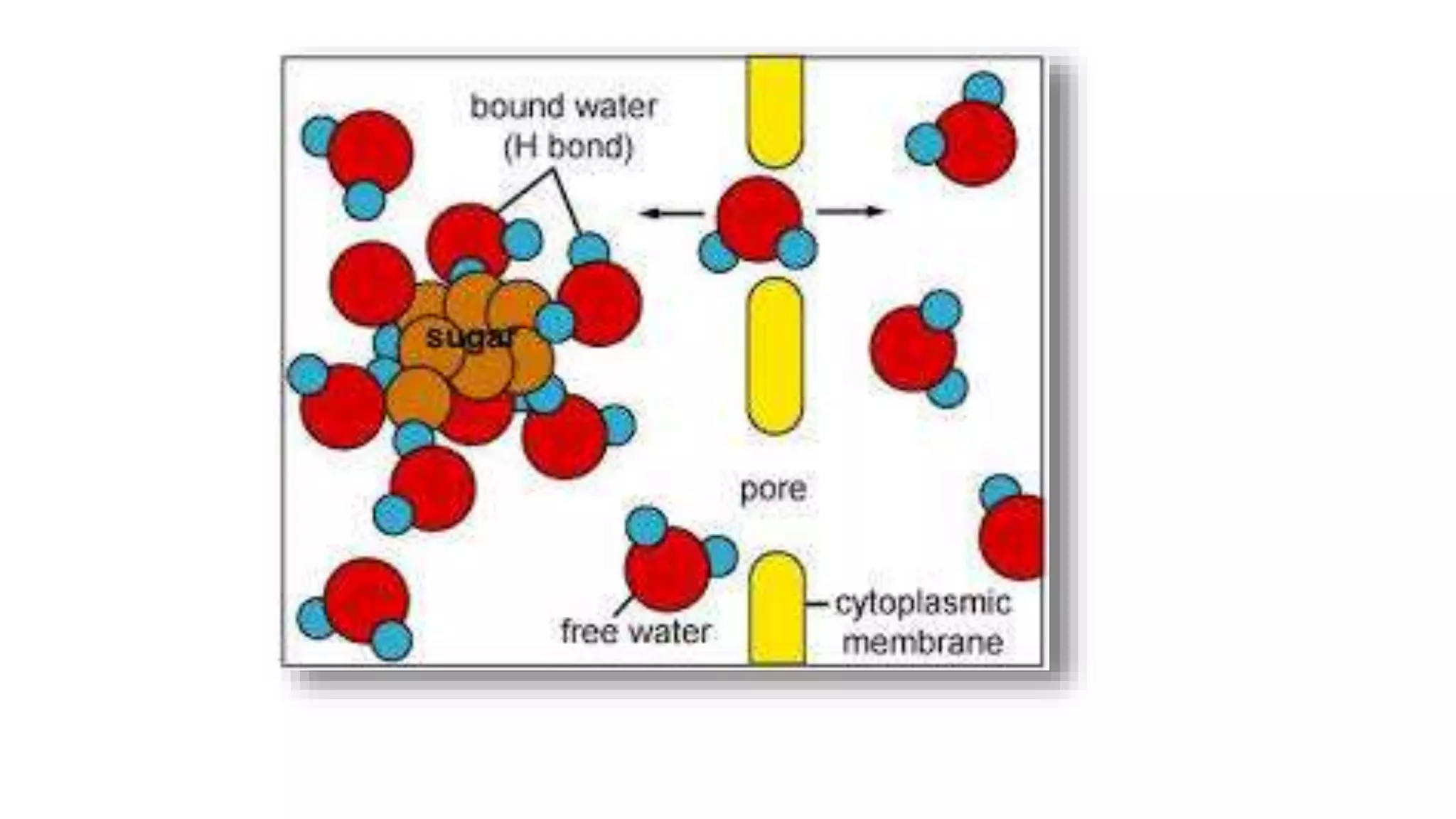 WEAK INTERACTIONS IN AQUEOUS SYSTEMS AND FITNESS OF THE AQUEOUS ENVIRONMENT FOR LIVING ORGANISMS ...