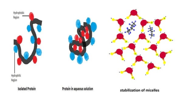 WEAK INTERACTIONS IN AQUEOUS SYSTEMS AND FITNESS OF THE AQUEOUS ...