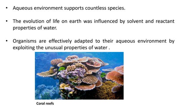 WEAK INTERACTIONS IN AQUEOUS SYSTEMS AND FITNESS OF THE AQUEOUS ...