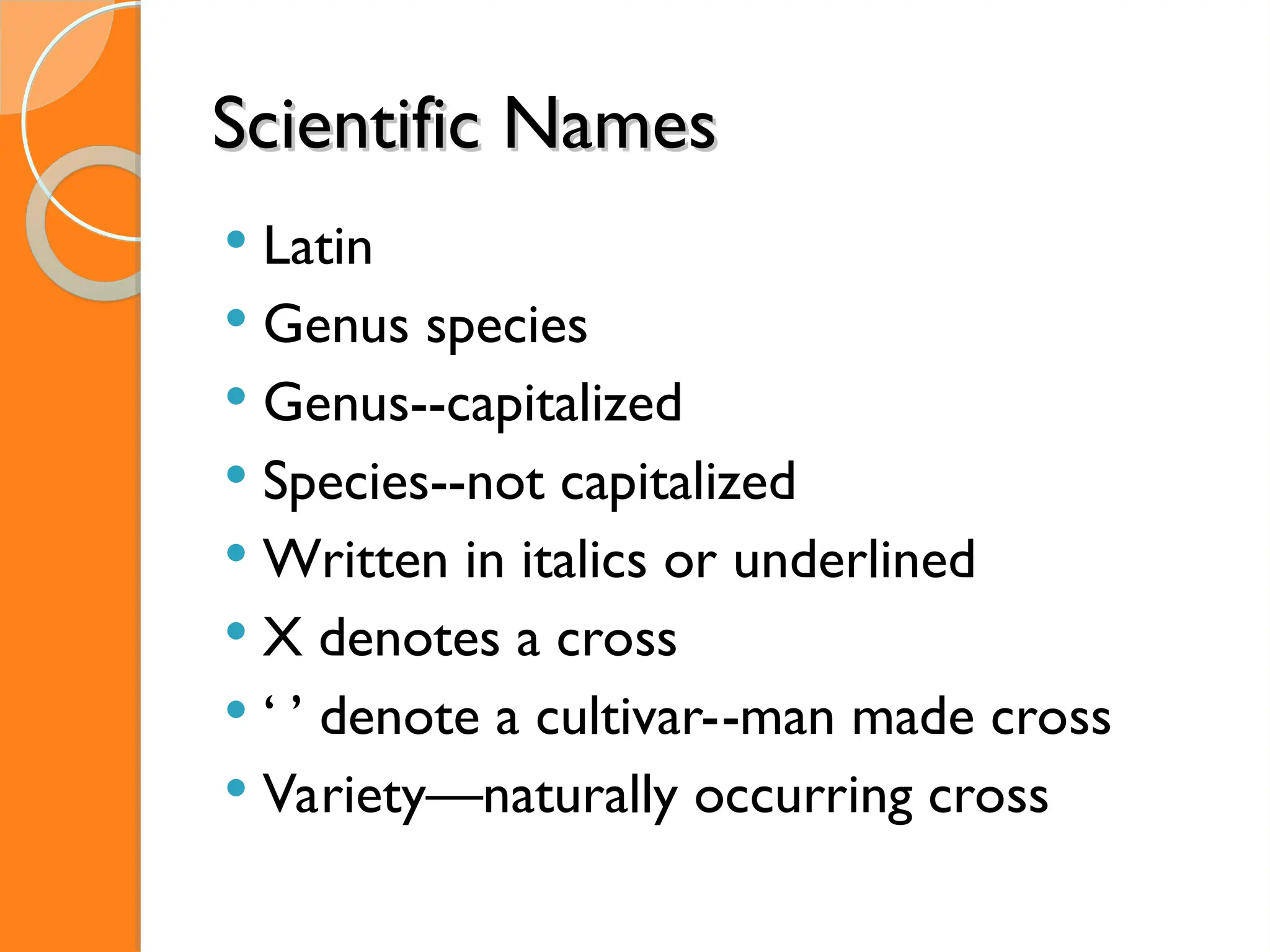 R-The-Classification-of-Plants 20201317.ppt