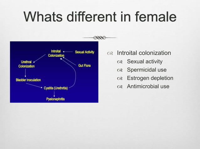 Management of Recurrent UTI in Female | PPT