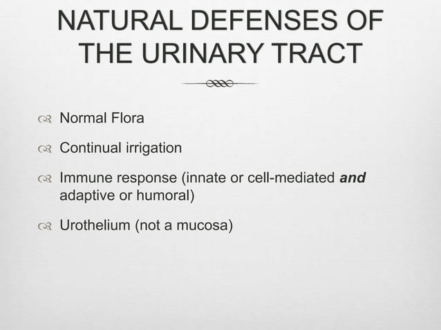 Management of Recurrent UTI in Female | PPT