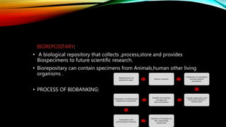 Global bio bank | PPTX | Biotech and Biomedical Industry | Industries