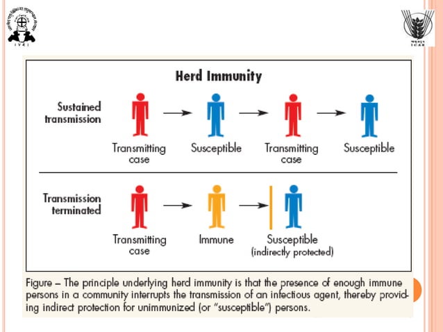 R0 Value & Herd Immunity | PPTX | Infectious Diseases | Diseases and ...