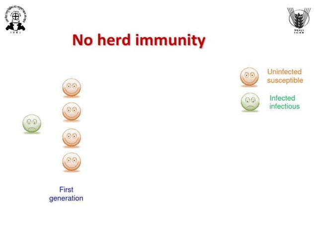 R0 Value & Herd Immunity | PPTX | Infectious Diseases | Diseases and ...
