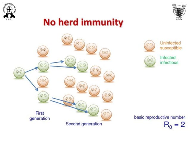 R0 Value & Herd Immunity | PPTX | Infectious Diseases | Diseases and ...