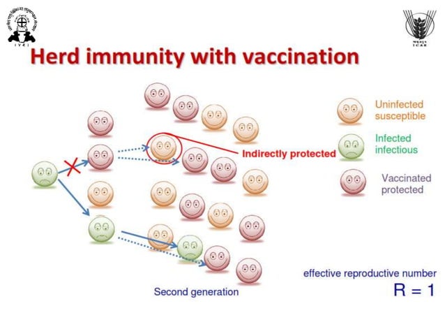 R0 Value & Herd Immunity | PPTX | Infectious Diseases | Diseases and ...