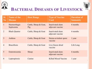 R0 Value & Herd Immunity | PPTX