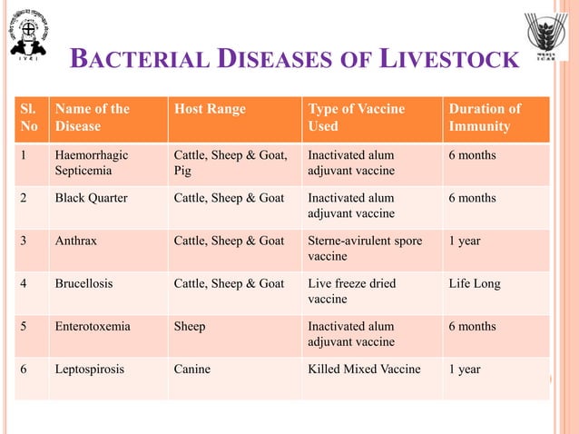 R0 Value & Herd Immunity | PPTX | Infectious Diseases | Diseases and ...