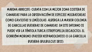 AVES de las islas canarias islas menores.pdf