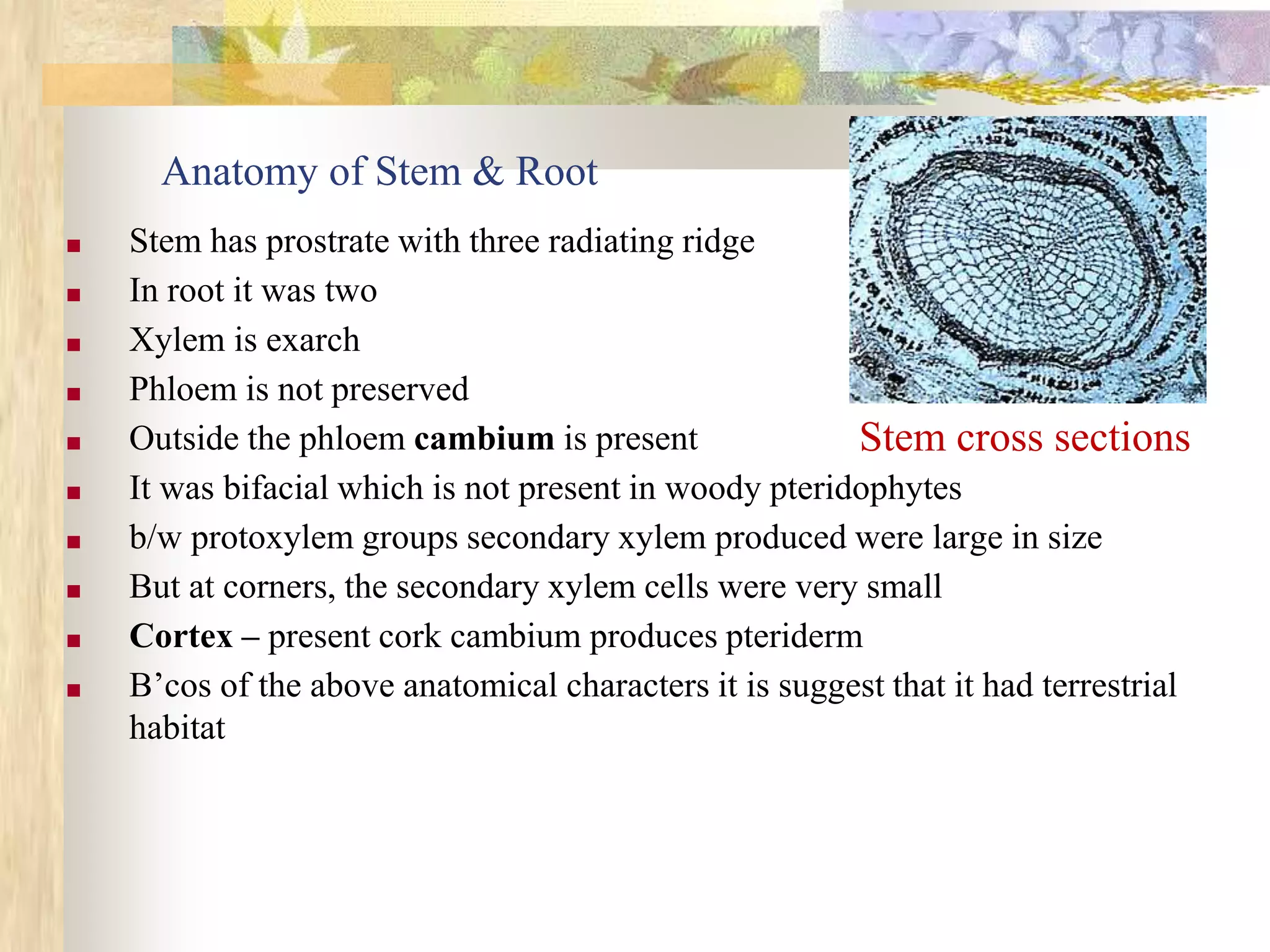Jacob thomas mar_thoma_college_tiruvalla_ | PPTX | Gardening | Home ...