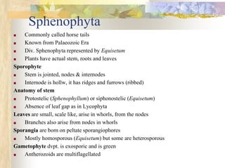 Jacob thomas mar_thoma_college_tiruvalla_ | PPTX | Gardening | Home ...