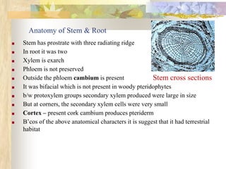 Jacob thomas mar_thoma_college_tiruvalla_ | PPTX | Gardening | Home ...