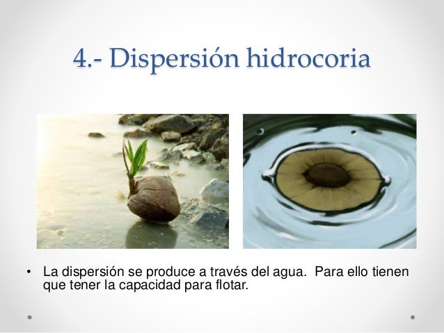 Mecanismos de dispersión de la semilla