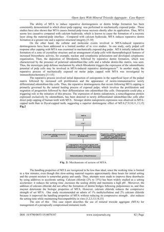 Open Apex with Mineral Trioxide Aggregate- Case Report | PDF