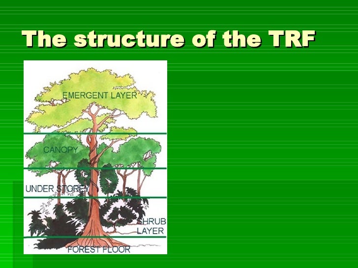 R18b Trf Introduction2