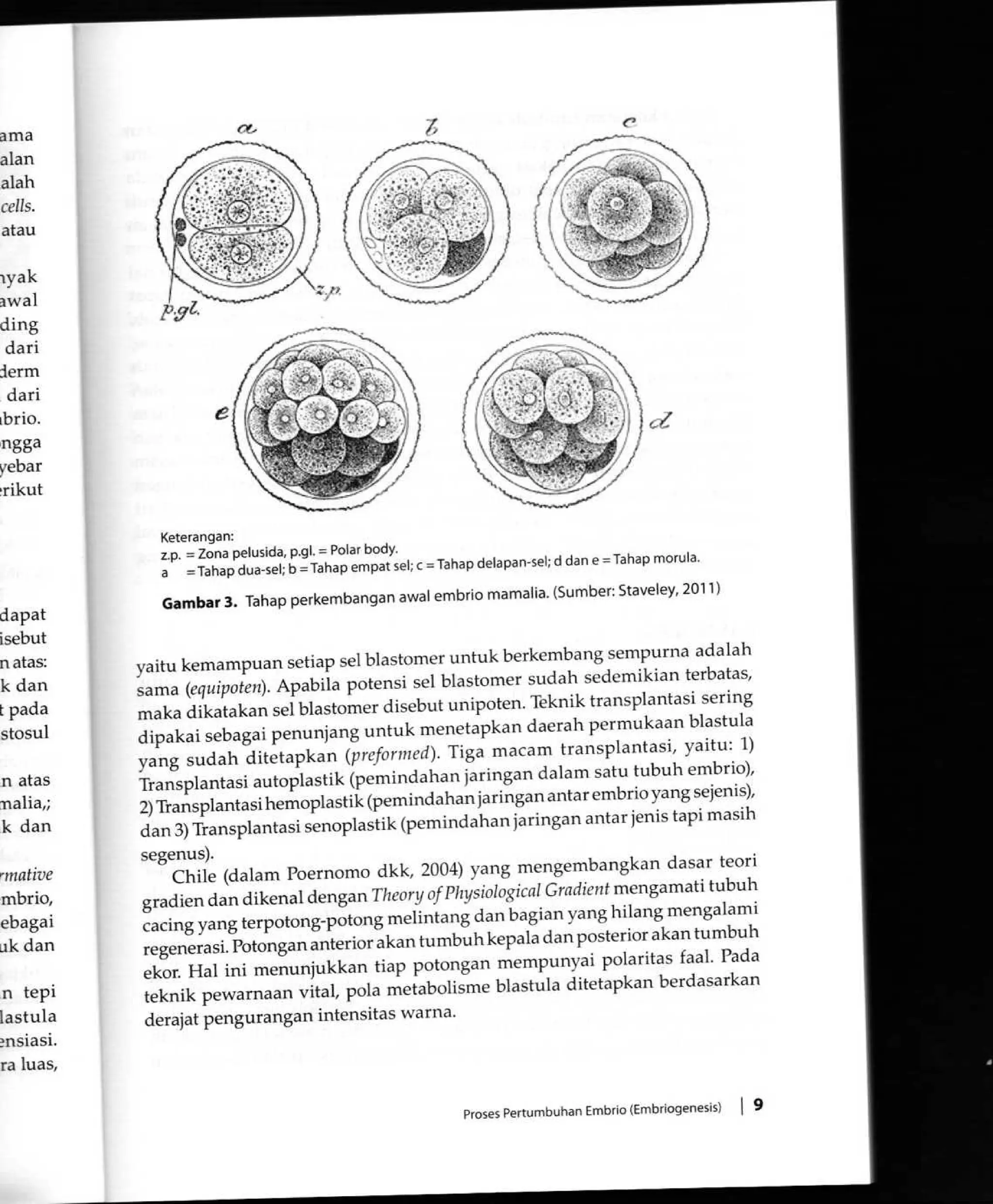 karil_27_(teratologi).pdf-karil_27_(teratologi).pdf