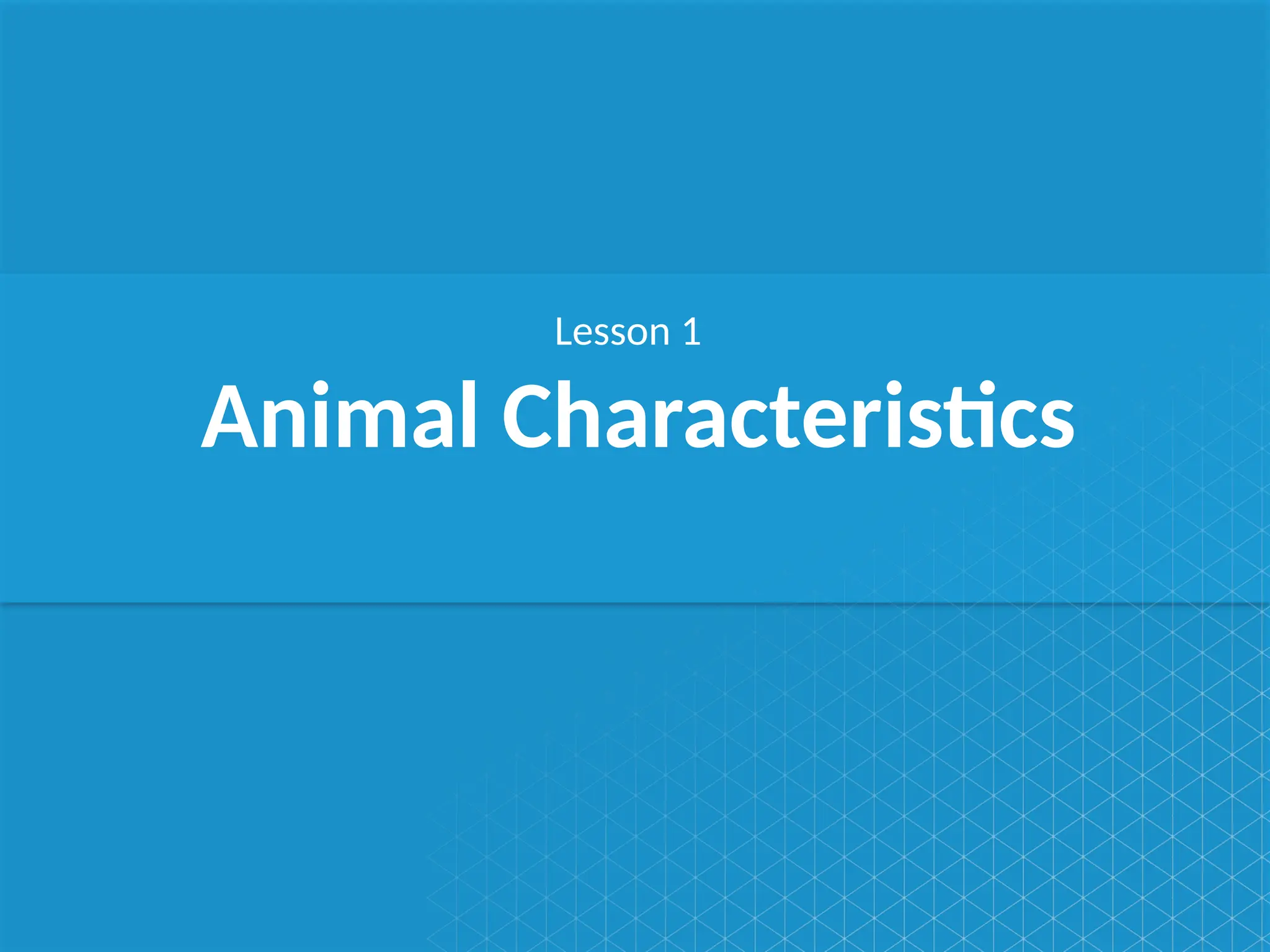 Animal Characteristics powerpoint for grade 11 | PPTX