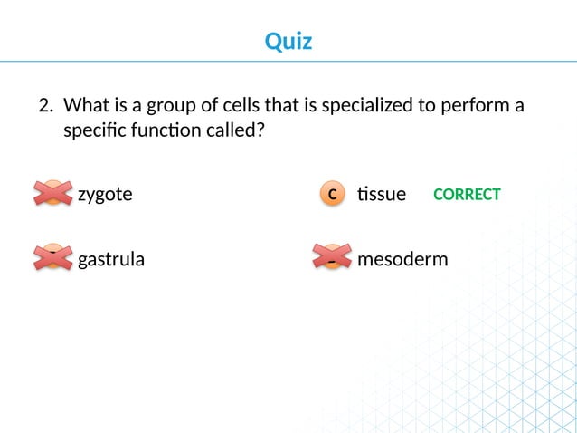 Animal Characteristics powerpoint for grade 11 | PPTX