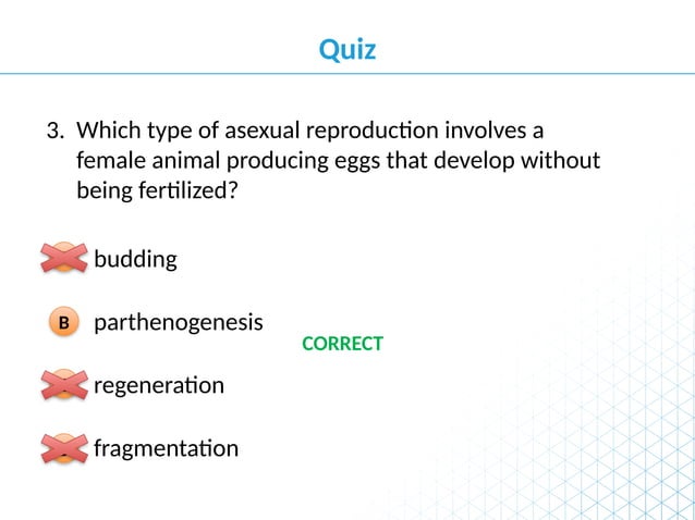 Animal Characteristics powerpoint for grade 11 | PPTX