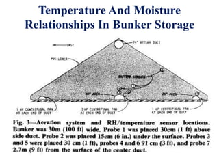 R22 bunker storage of grains | PPTX