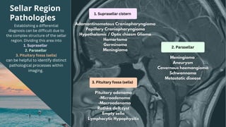 R23_282_Sellar_Region_Pathology_compressed.pdf