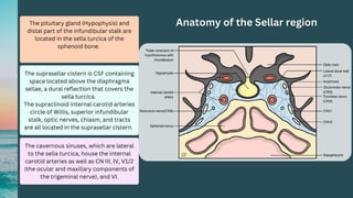 R23_282_Sellar_Region_Pathology_compressed.pdf