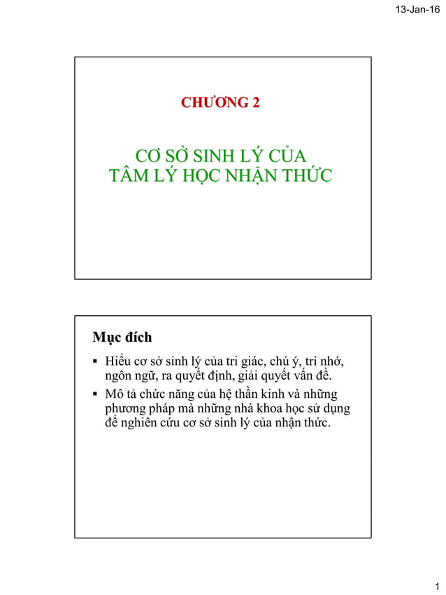 Tlh nhan thuc.bai 2 | PDF