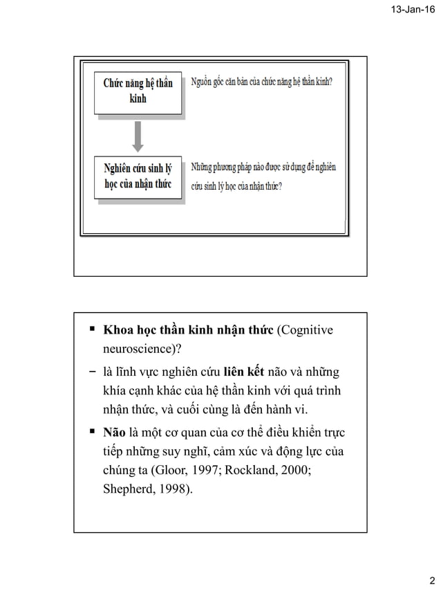 Tlh nhan thuc.bai 2 | PDF