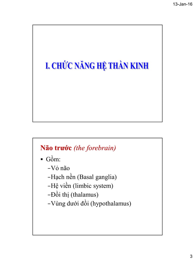 Tlh nhan thuc.bai 2 | PDF
