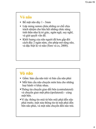 Tlh nhan thuc.bai 2 | PDF