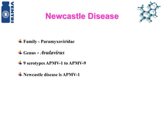 r2b.ppt | Free Download