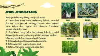 R2C Kelompok 1 Morfologi Tumbuhan new.pdf