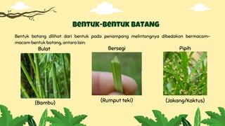 R2C Kelompok 1 Morfologi Tumbuhan new.pdf