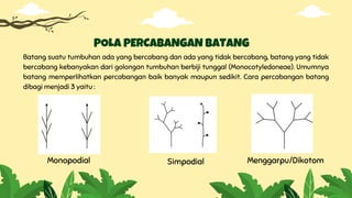 R2C Kelompok 1 Morfologi Tumbuhan new.pdf