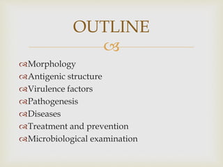 Corynebacterium diphtheriae | PPT