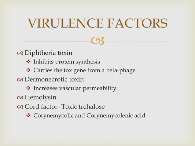 Corynebacterium diphtheriae | PPT